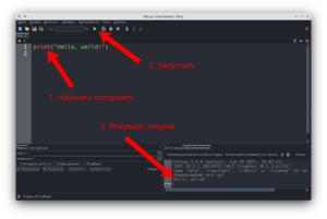 Wing IDE — IT в школе